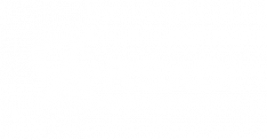 HAMSE Comercializadora
